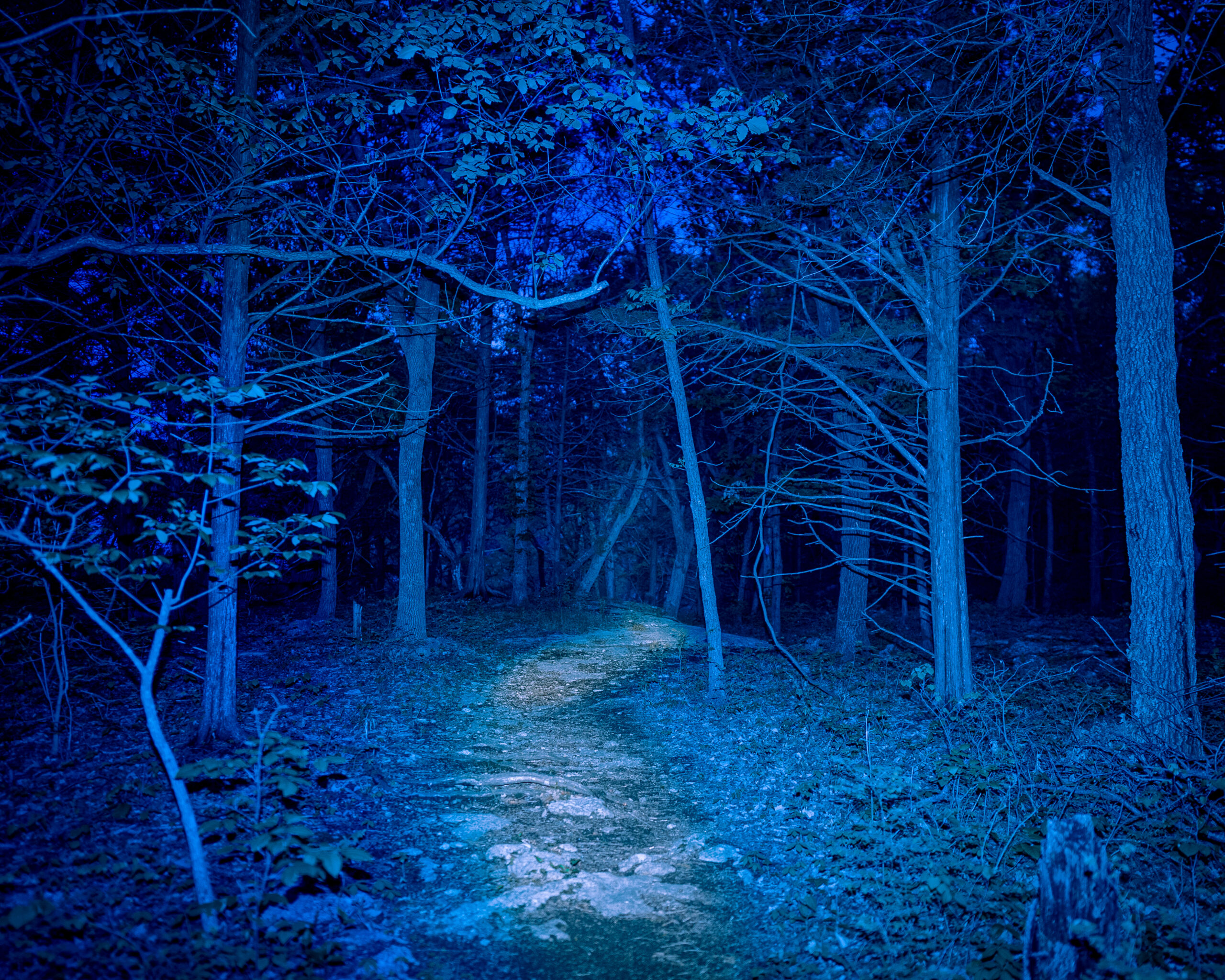 The Wilderness Hiker Photography – The Wilderness Hiker